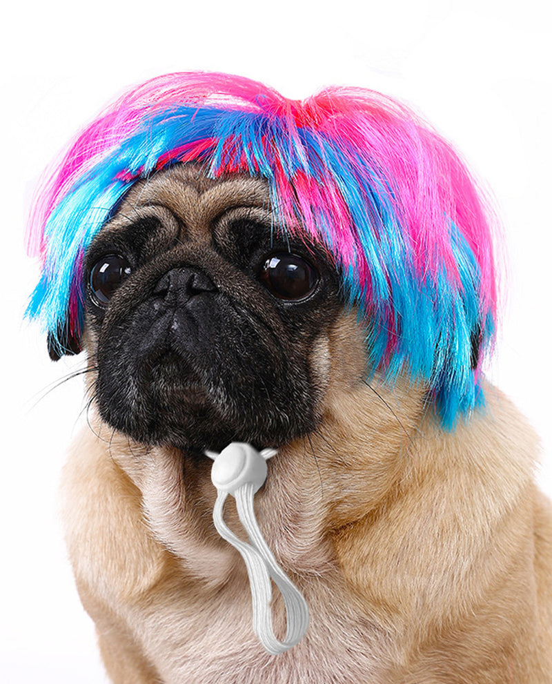 Short Cotton Candy Pastel Wig for Pets – ABHAIR